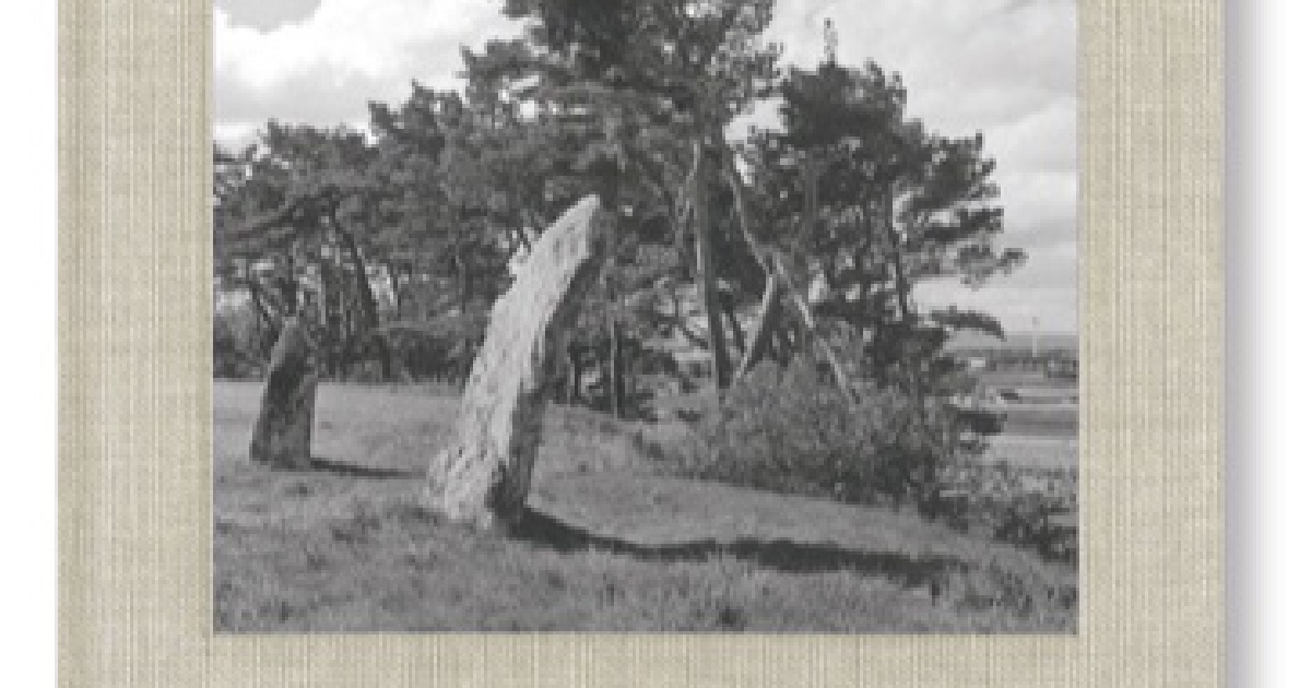 Publication: Halland - Gerry Johansson | IBASHO