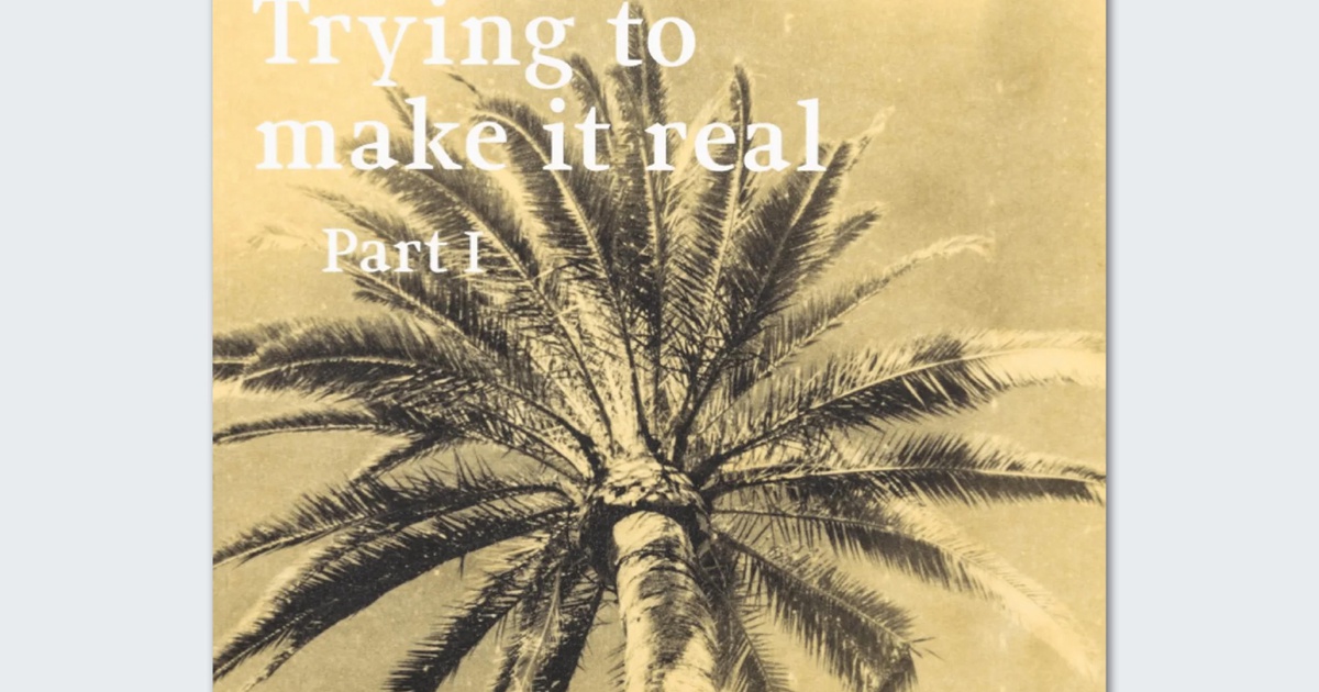 Publication: Trying to make it real, part 1 & part 2 - Bruno V. Roels ...